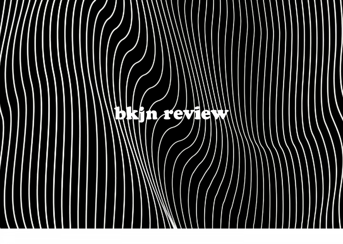 bkjn review — 북저널리즘